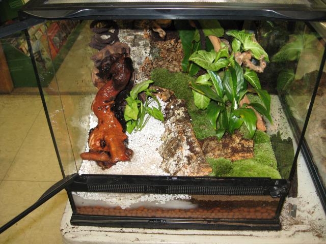 Vivarium
