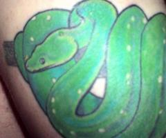 Reptile Tattoo Gallery